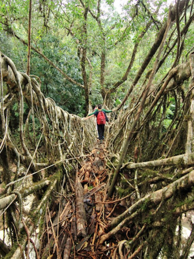 Sustainable Travel Routes And Travel Ideas For India India Someday sustainable-travel-routes-and-travel-ideas-for-india-india-someday