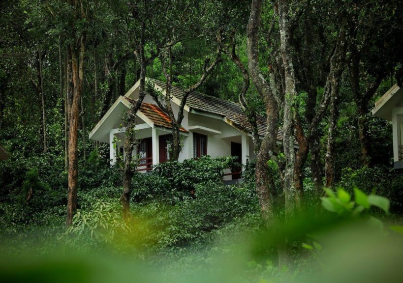 Best Homestays in South India For a Tranquil Holiday | India Someday