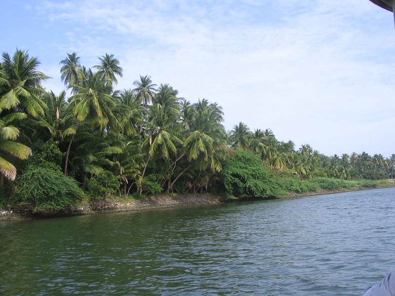 11 Best Things to do in Pondicherry - India Someday Travels