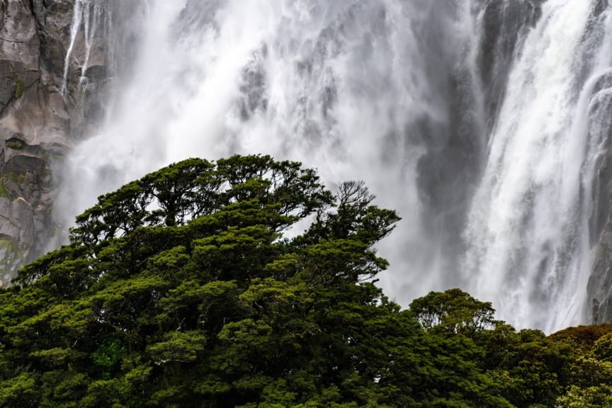 8 Best Things to do in Thekkady - India Someday Travels