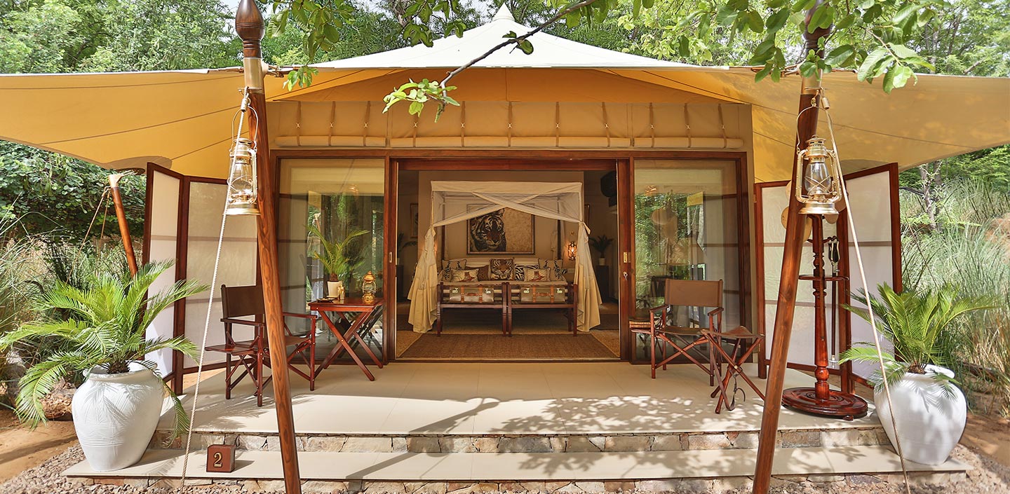 Top 8 Luxury Experiences in India - India Someday Travels