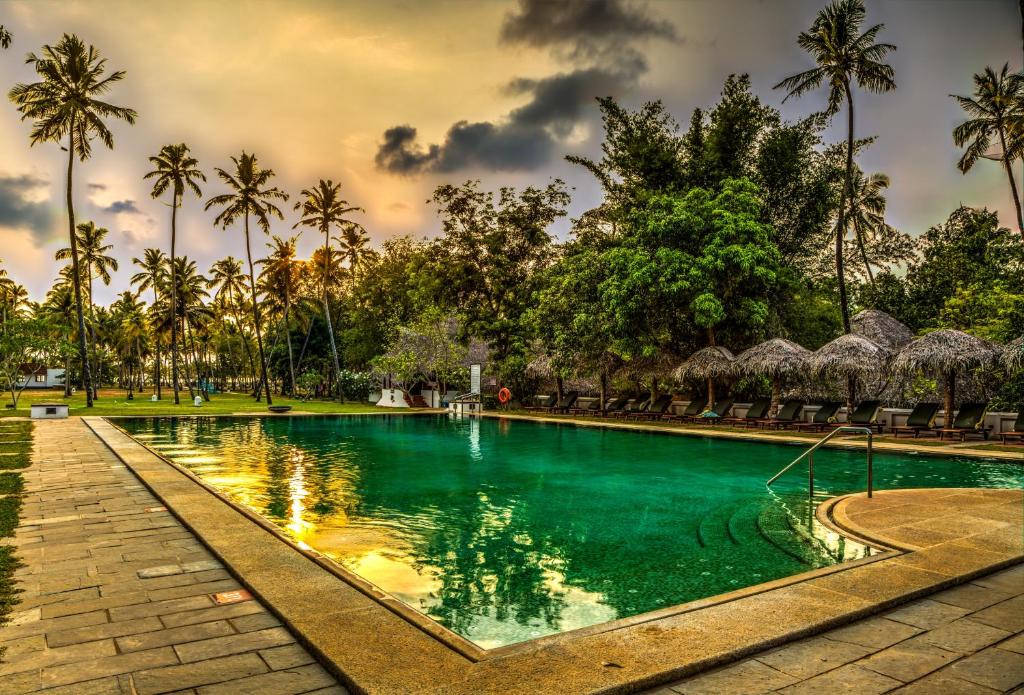 8 Best luxury beach resorts in India - India Someday Travels