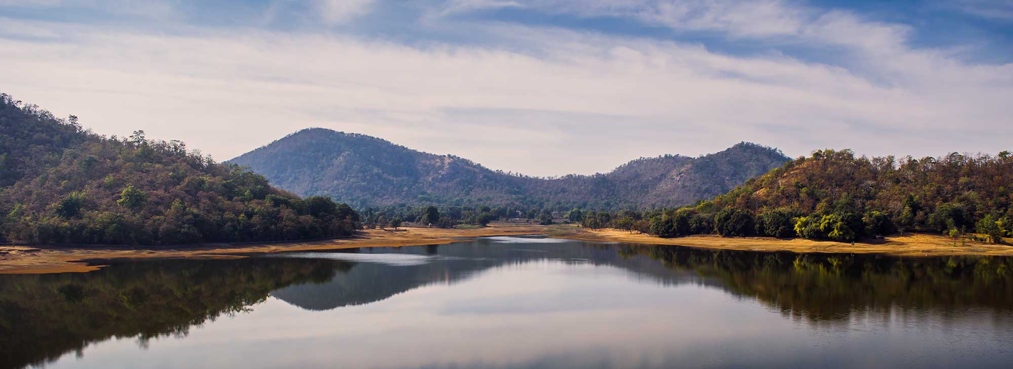 10 Best Wildlife Sanctuaries in Gujarat - India Someday Travels