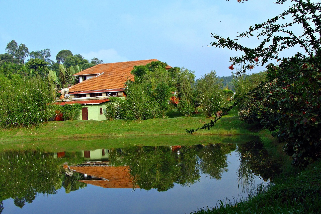 Best time to visit Coorg - India Someday Travels