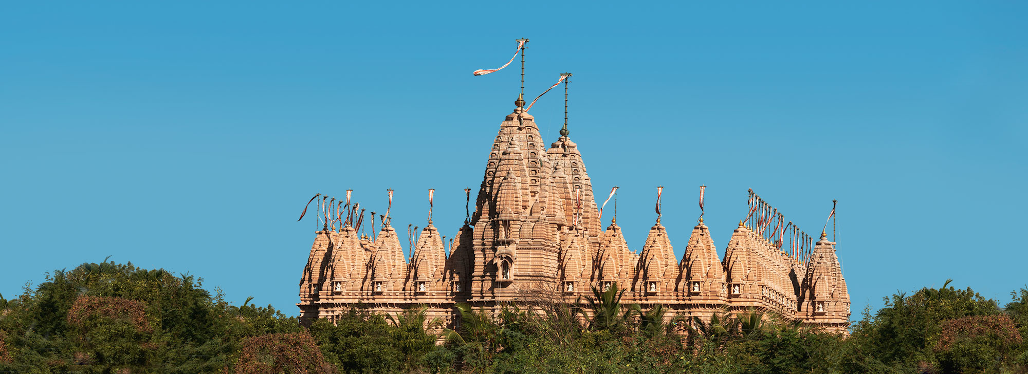 12 Best Things to do in Kutch - India Someday Travels