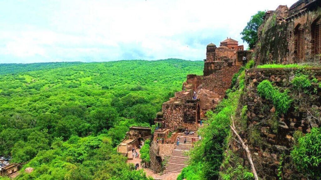 Best time to visit Ranthambore - India Someday Travels
