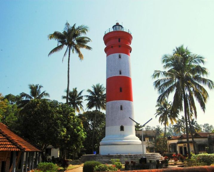 12 Best Things to do in Alleppey - India Someday Travels