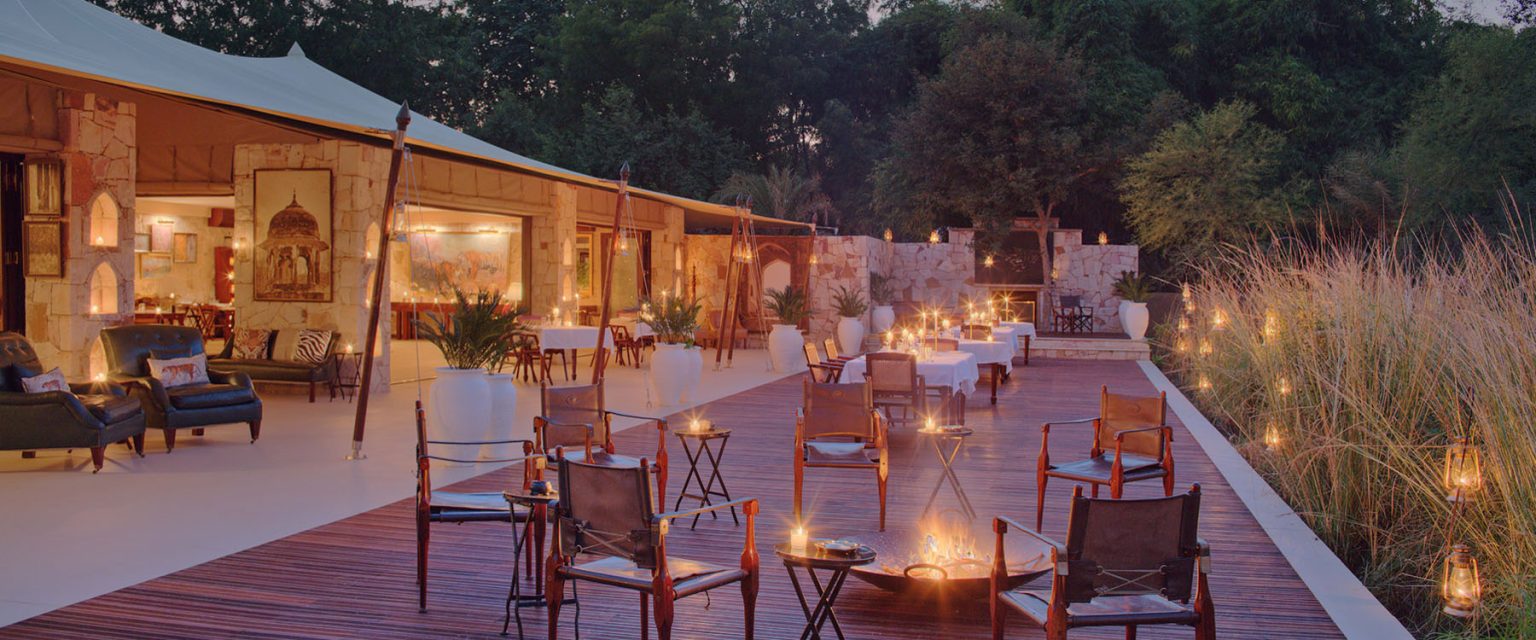 11 Best Things to do in Ranthambore - India Someday Travels